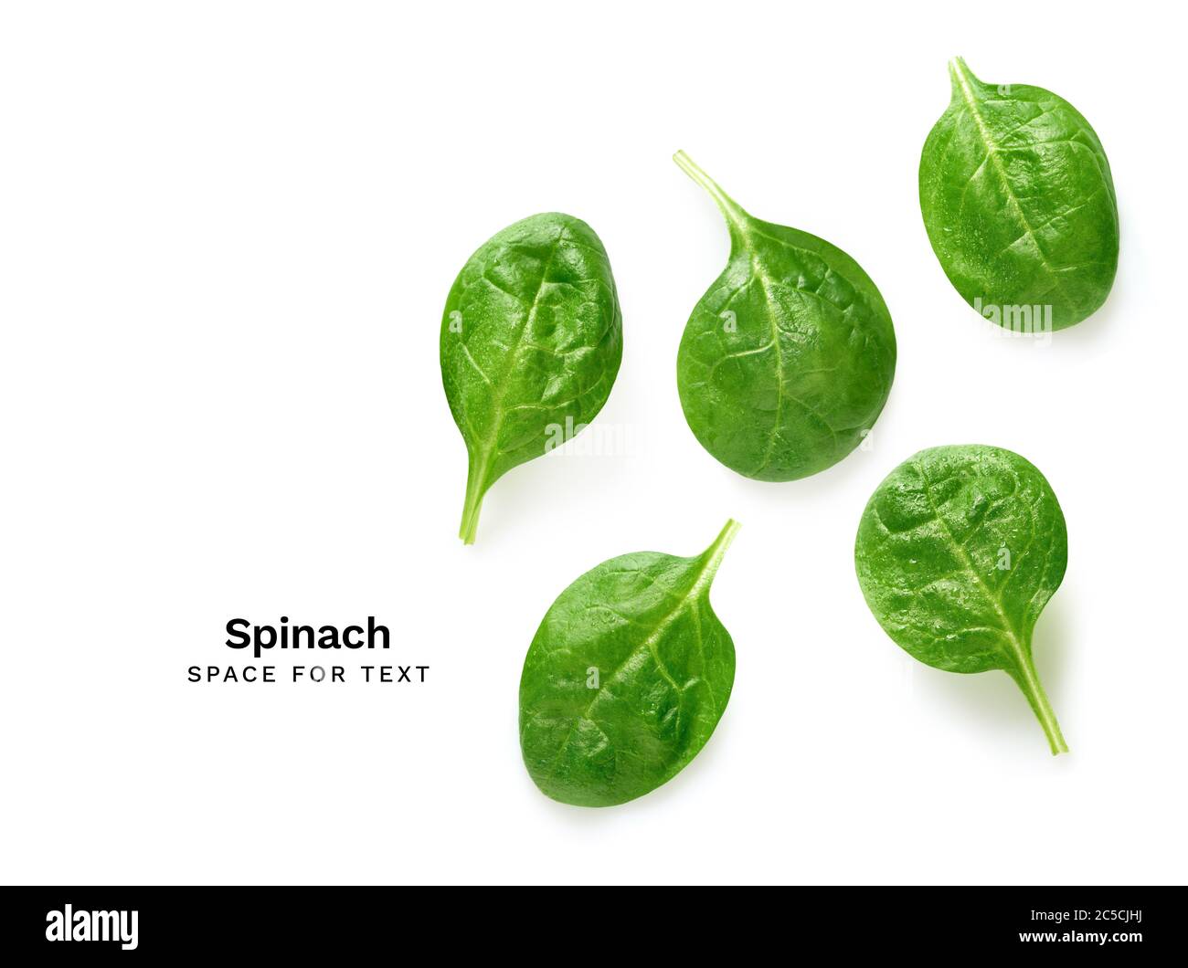 Creative layout with fresh young spinach leaves isolated on white ...