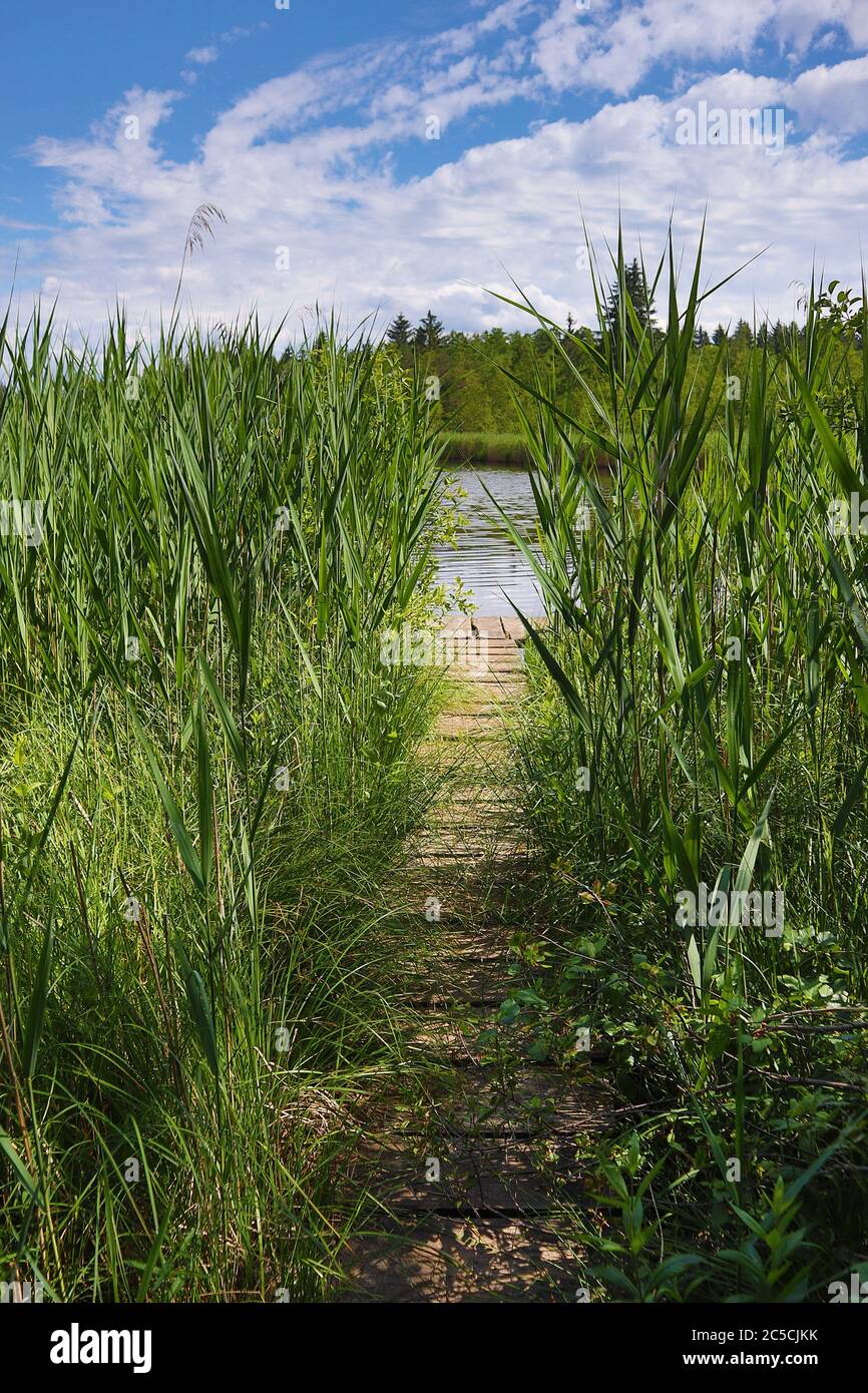 Bernried, Deutschland. 25th June, 2020. Bernried, Germany June 25th ...