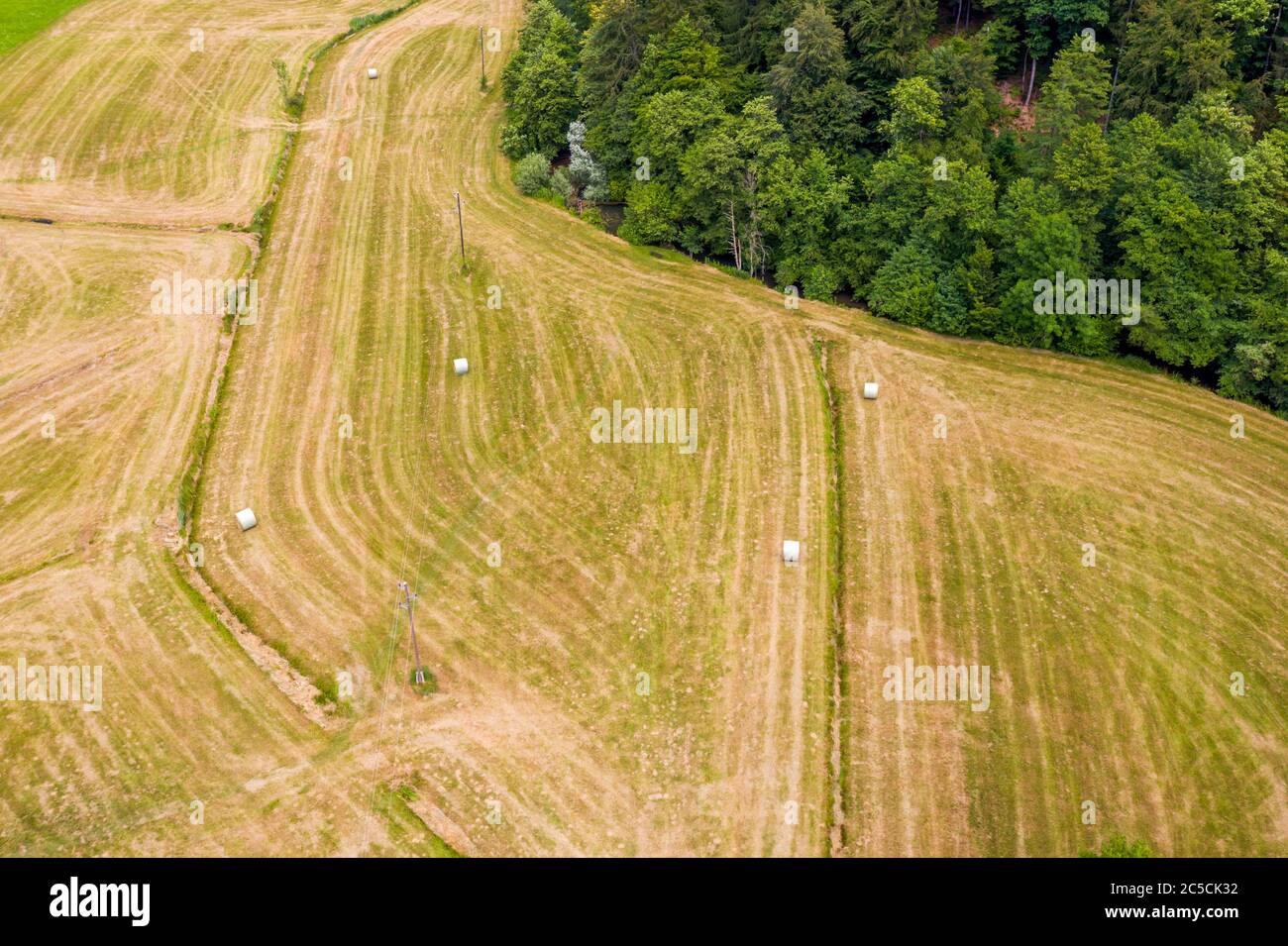 Farmer harvesting hay on the grass field with green forest around ...
