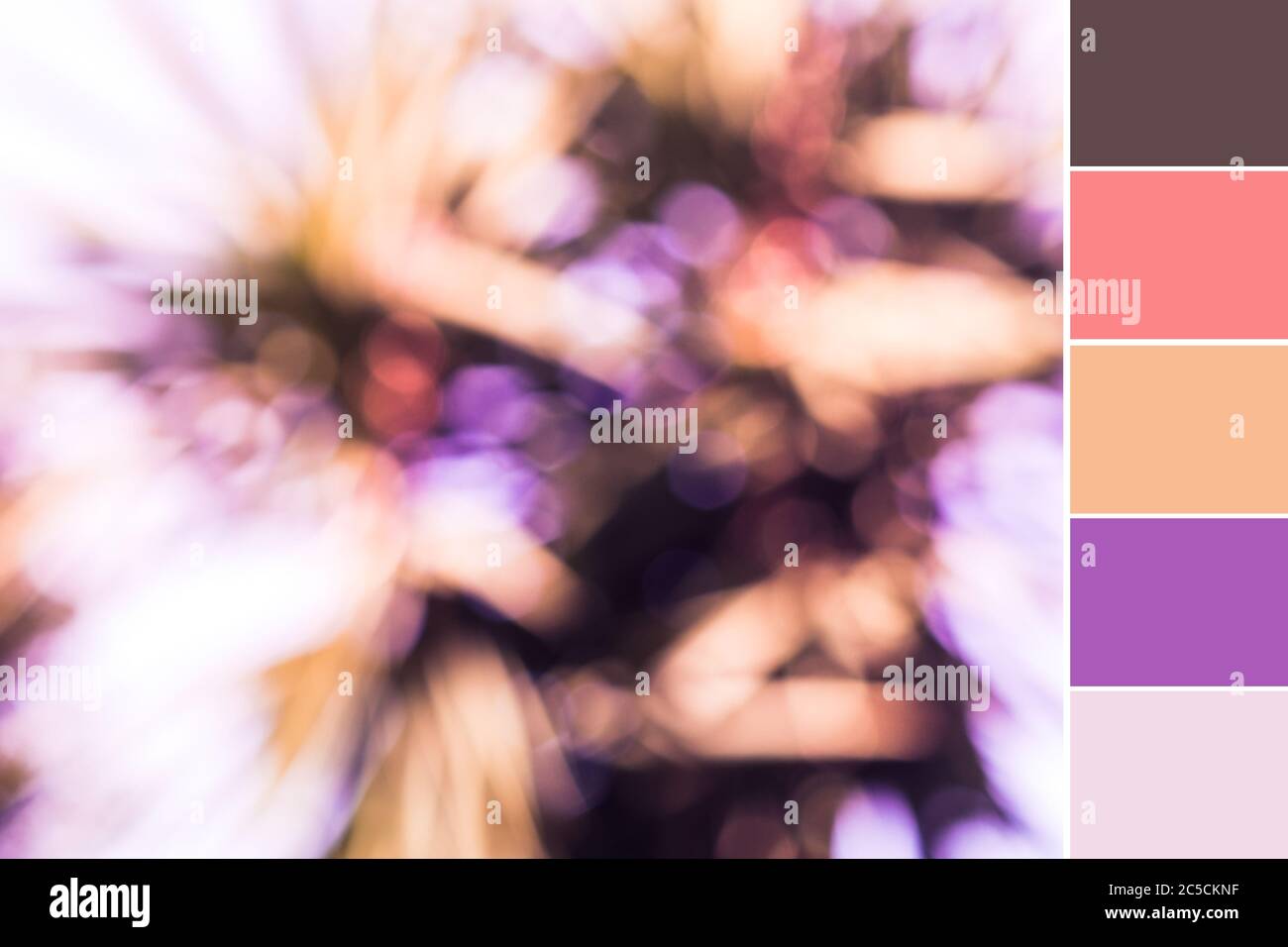 Unfocused agave background. Color swatch Stock Photo - Alamy