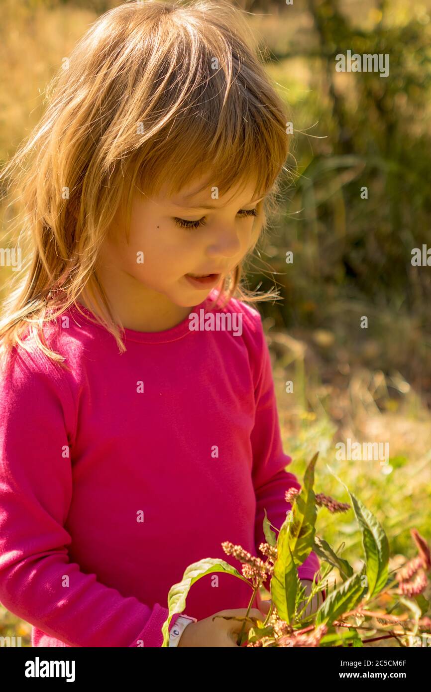 little girl picking up a flowers in the grass Stock Photo - Alamy