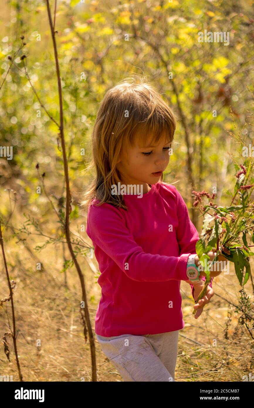 little girl picking up a flowers in the grass Stock Photo - Alamy