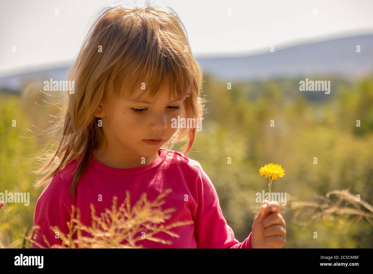 little girl picking up a flowers in the grass Stock Photo - Alamy