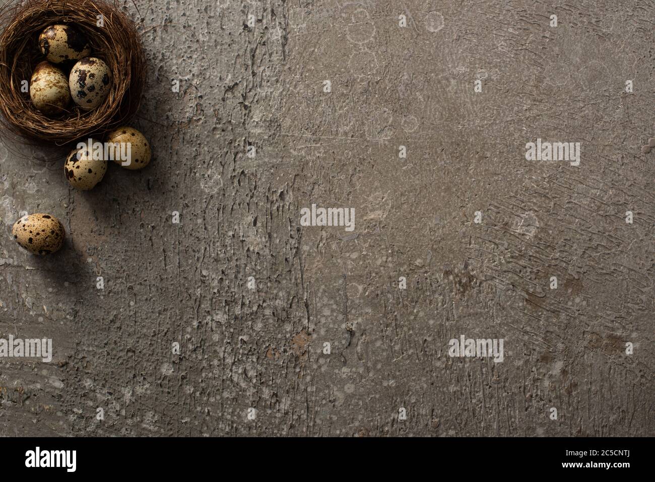 top view of quail eggs in nest and on grey textured background Stock ...