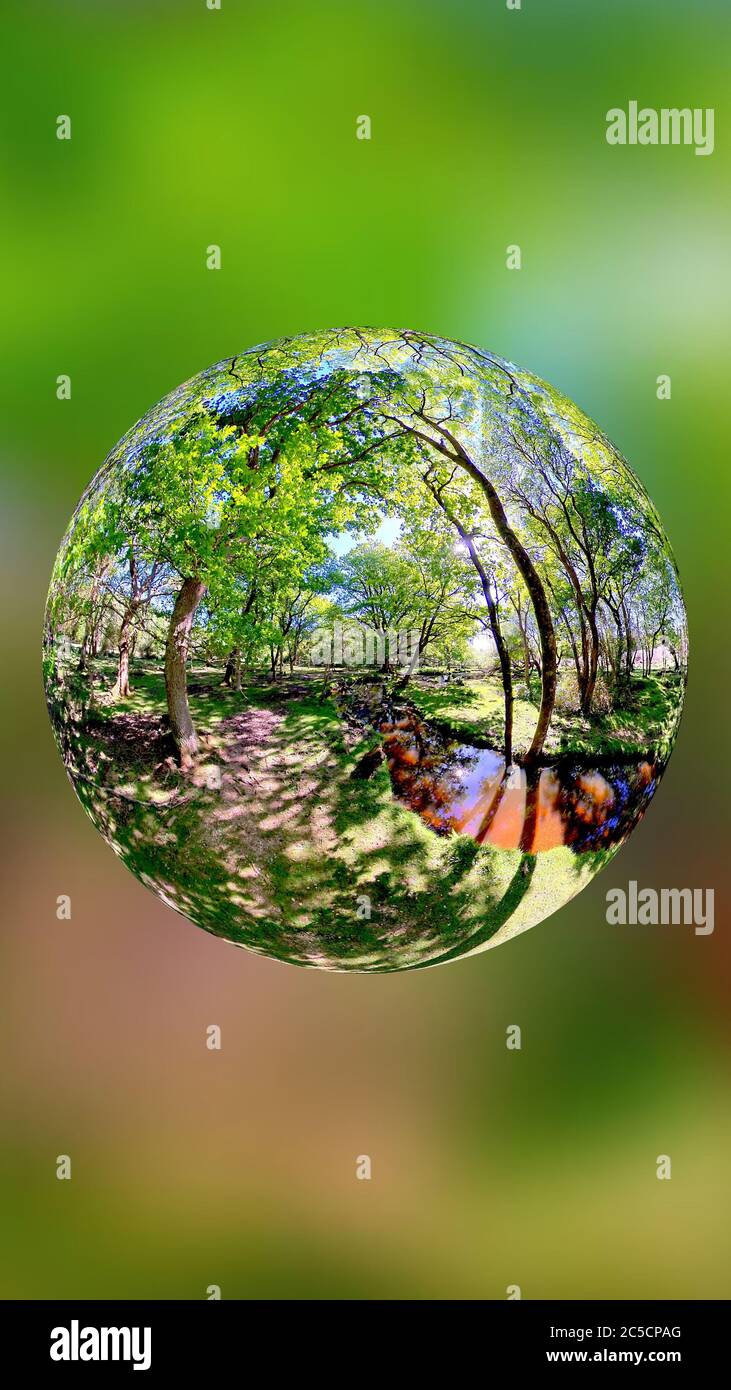 New Forest Stream in a globe Stock Photo - Alamy