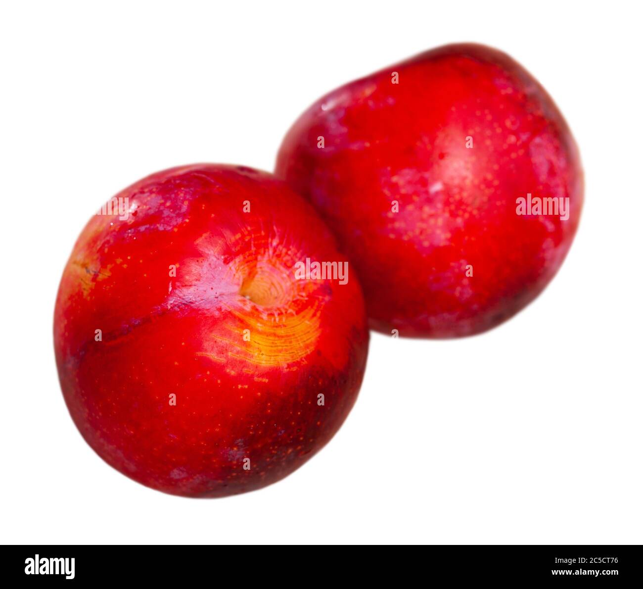 Image of fresh ripe red plums, harvest from garden. Isolated over white ...