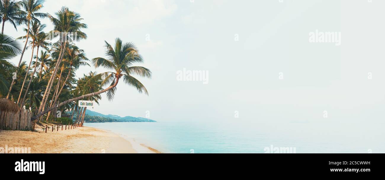 tropical beach with coconut palm trees. Koh Samui, Thailand - Image ...