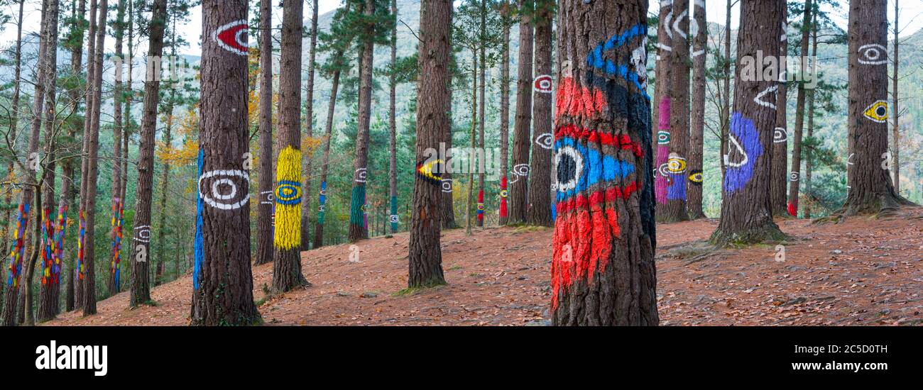 Painted forest, Oma Valley, Urdaibai, Bizkaia, Basque Country, Spain ...
