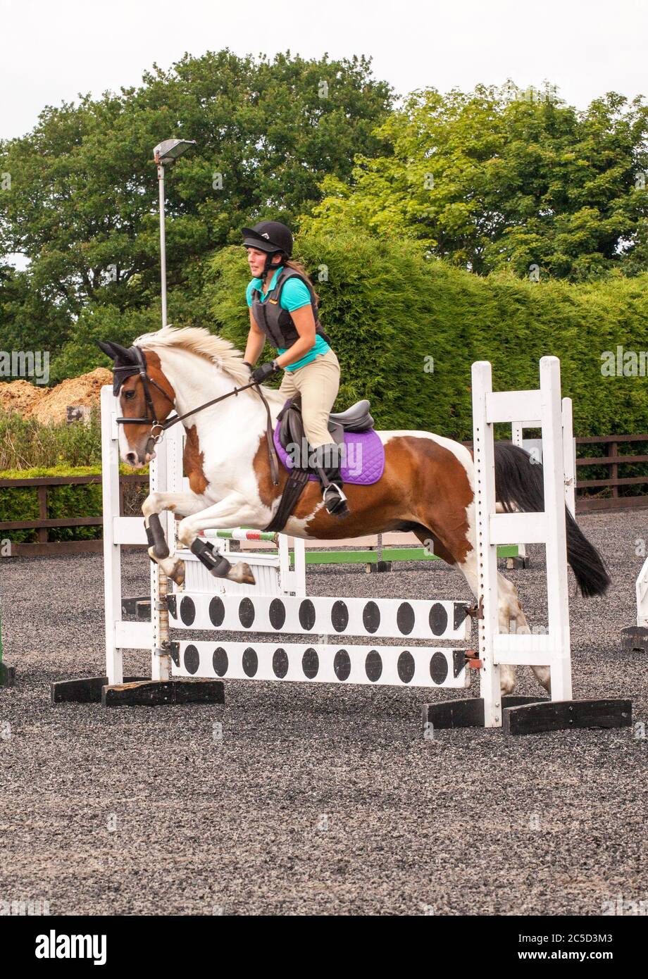 Horse jumping over fence hi-res stock photography and images - Alamy