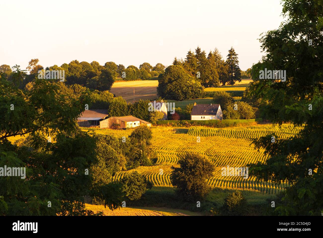 View of rural landscape with village houses and farmland fields in ...