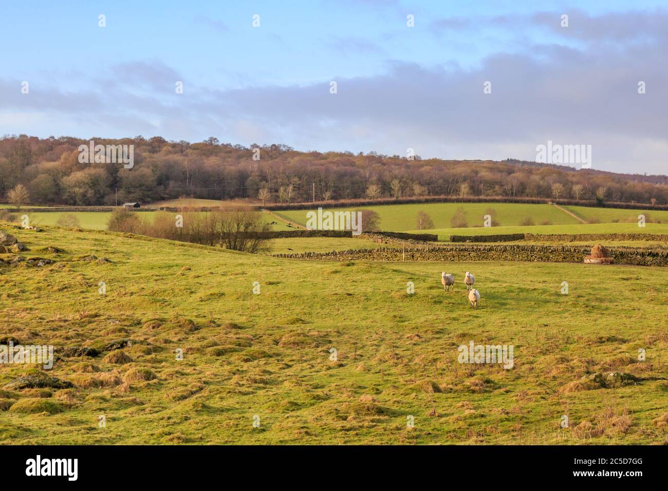 Cumbrian landscape hi-res stock photography and images - Alamy