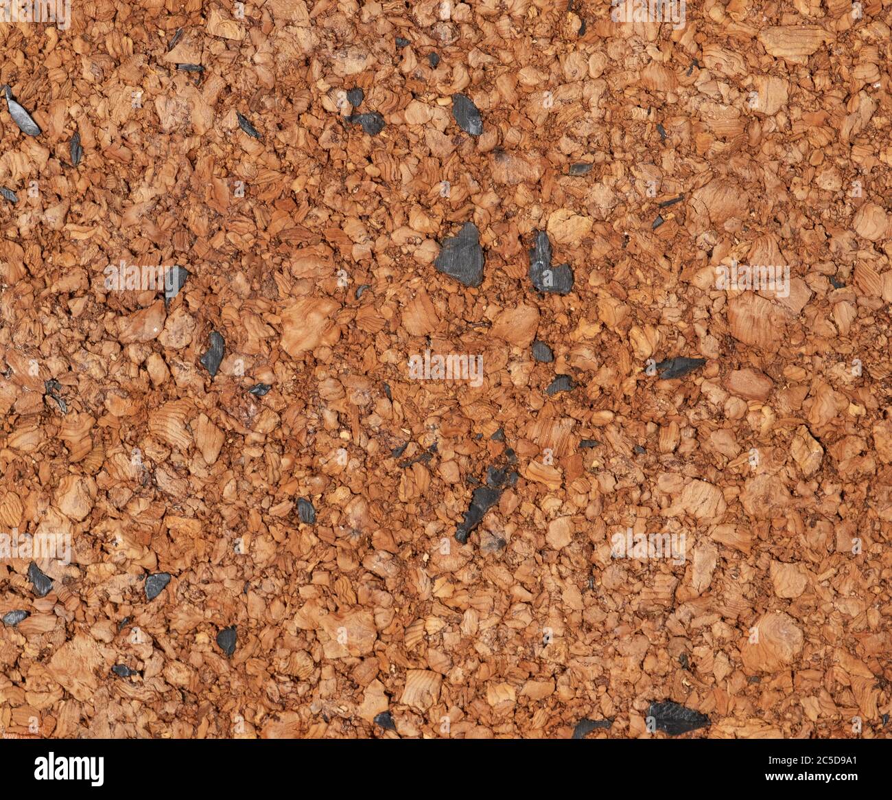 old corkwood texture close up Stock Photo - Alamy