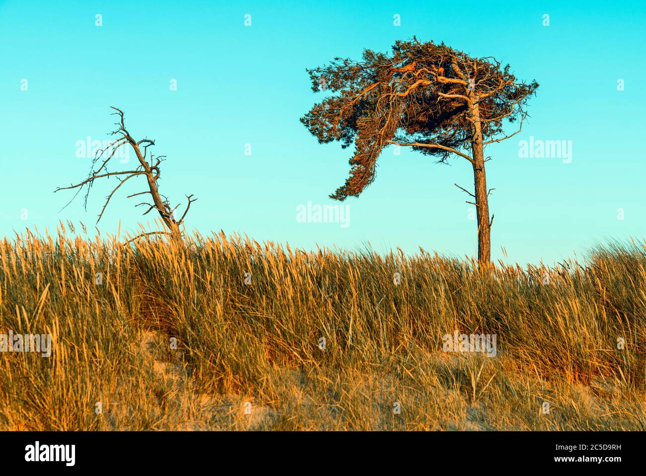 Beach at Baltic Sea in Germany Stock Photo - Alamy
