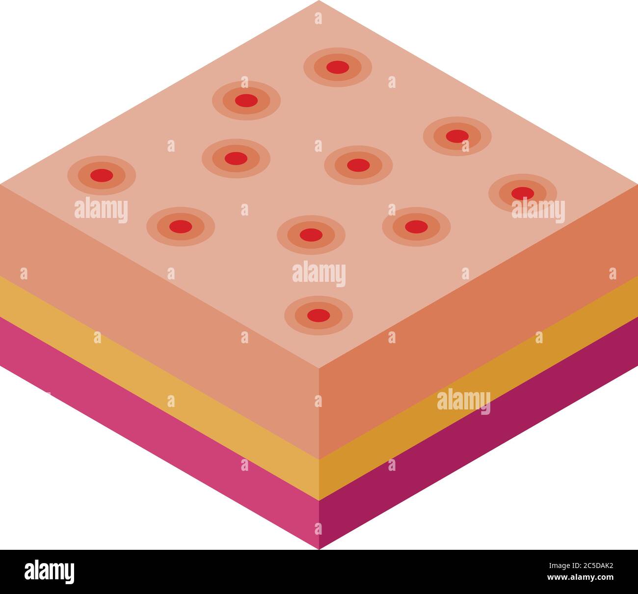 Skin chicken pox icon, isometric style Stock Vector Image & Art - Alamy