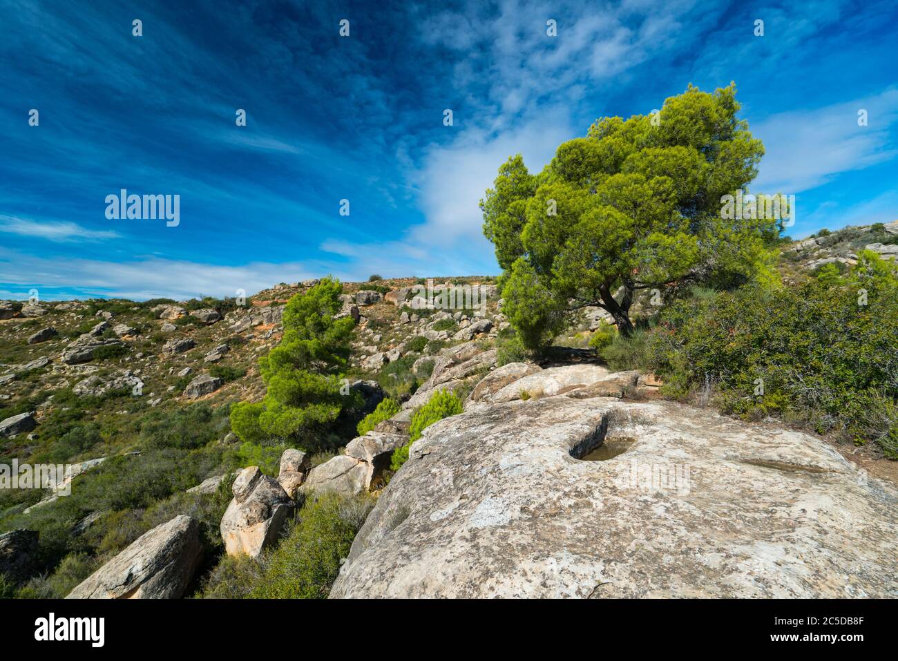 Tumbas del Saladar, Valle del Set, El Cogul, Les Garrigues, Lleida ...
