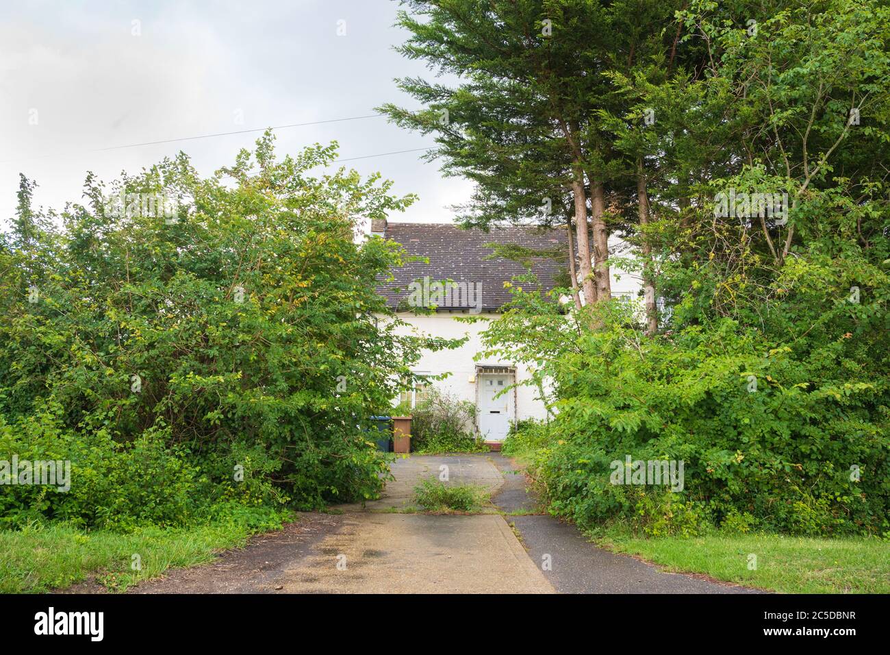 Unkept garden uk hi-res stock photography and images - Alamy