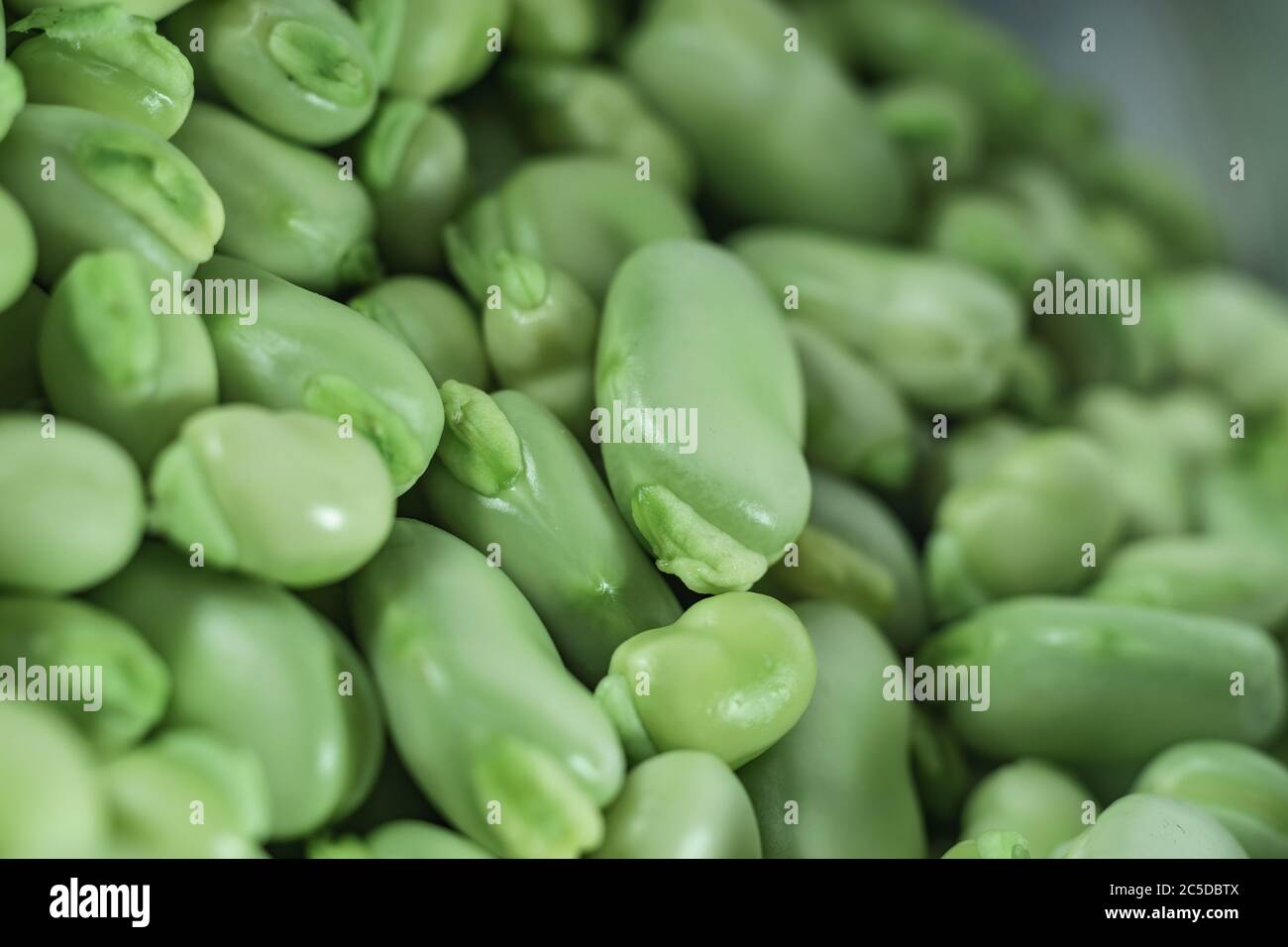 Beautiful fresh geen broad beans pattern background texture for design ...