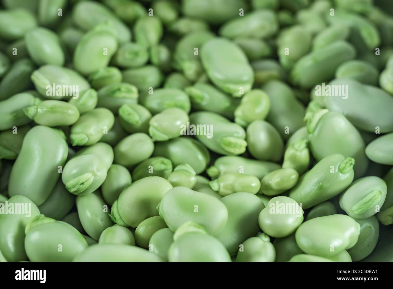 Beautiful fresh geen broad beans pattern background texture for design ...