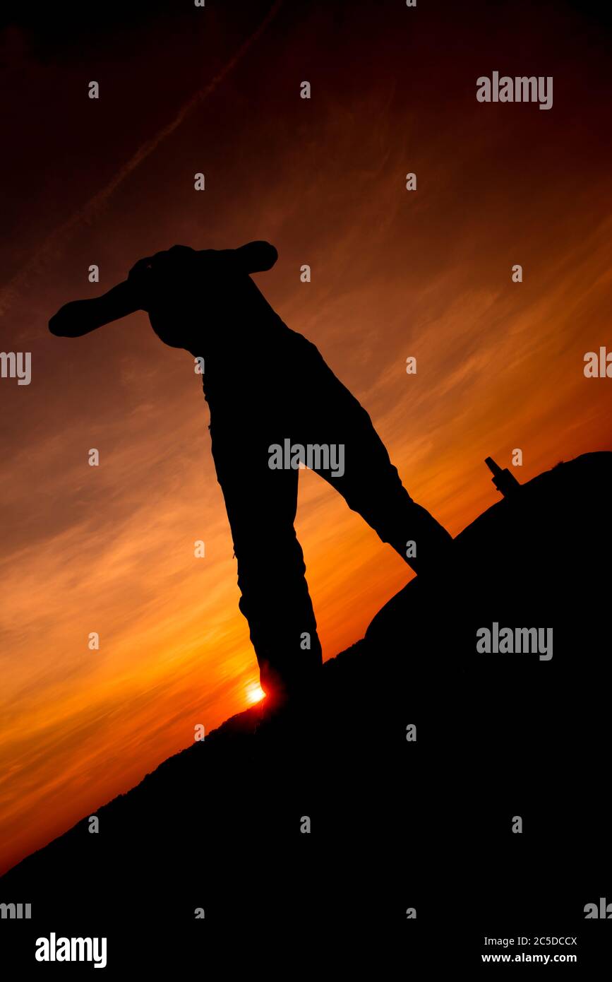 The colossus goya hi-res stock photography and images - Alamy