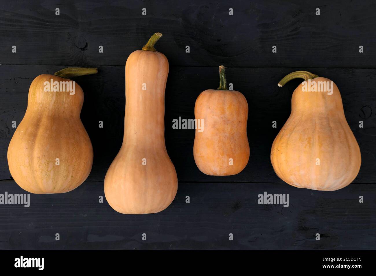 Butternut squashes varieties on black wooden boards background Stock ...