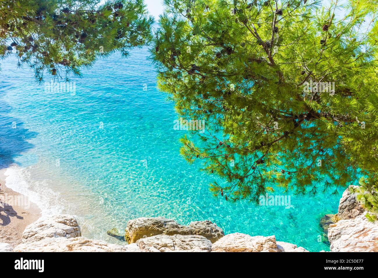 Tree framing the beautiful Jagodna Beach, Hvar Island, Croatia Stock ...