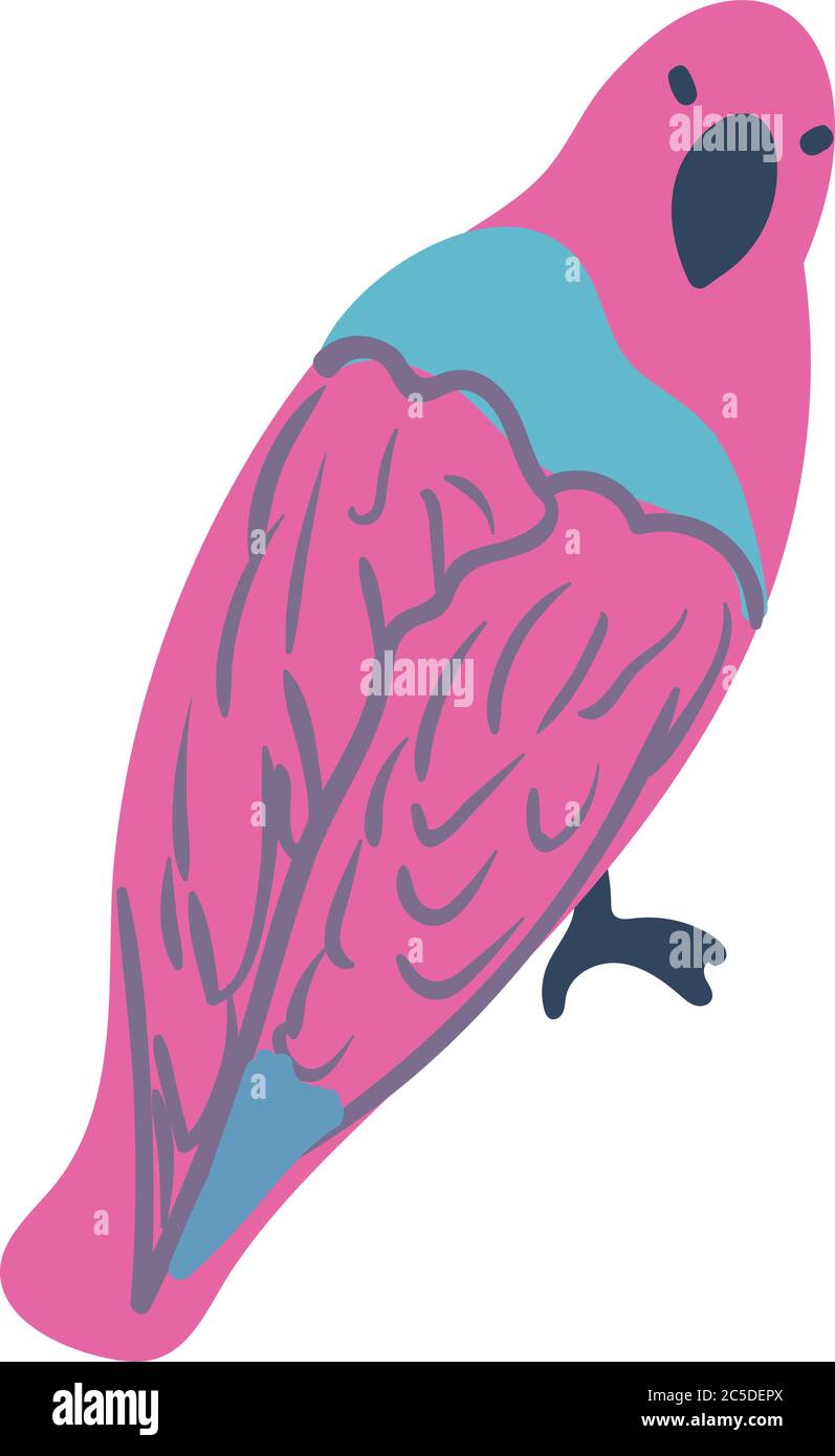 pink parrot simple vector illustration Stock Vector Image & Art - Alamy