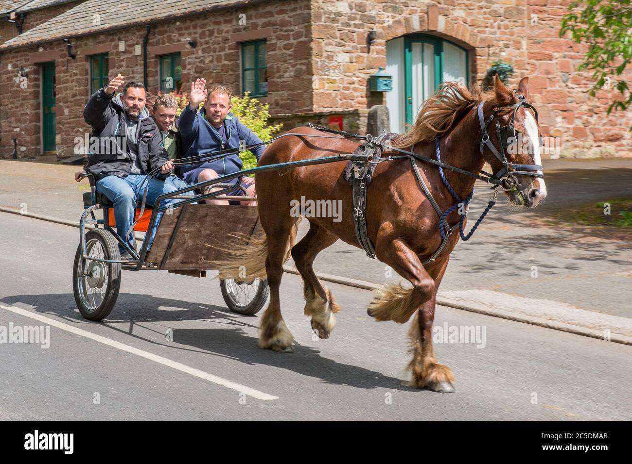 Appleby Horse Fair, Cumbria. Annual gathering of Gypsies and Travellers ...