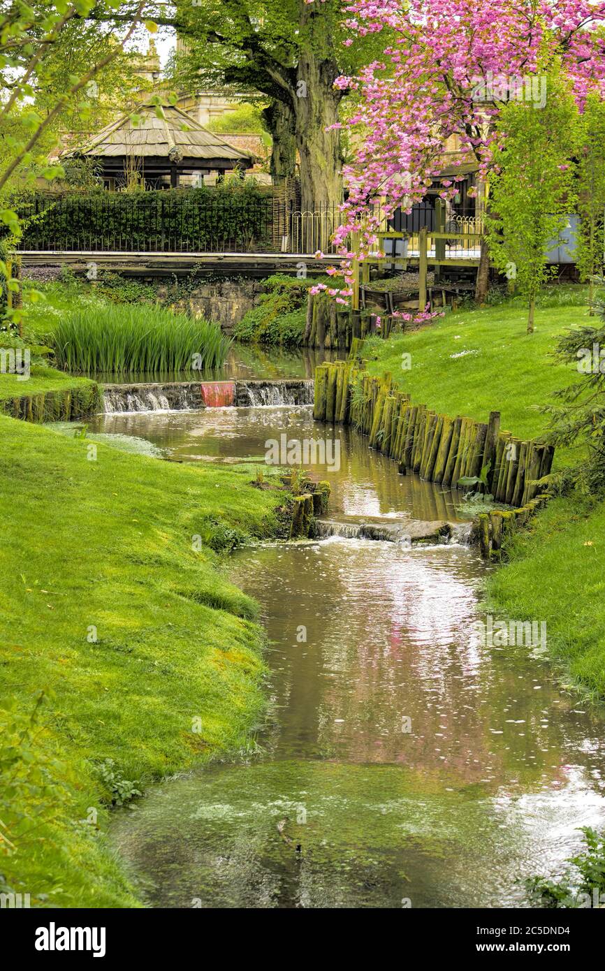 Chinese style garden with a small stream Stock Photo - Alamy