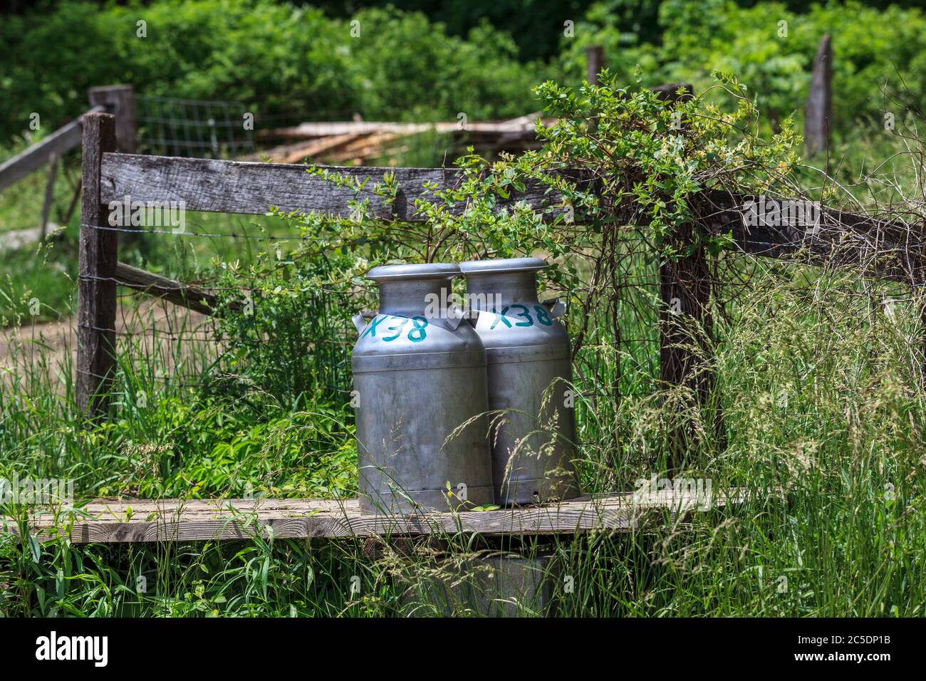 Loading buggy hi-res stock photography and images - Alamy