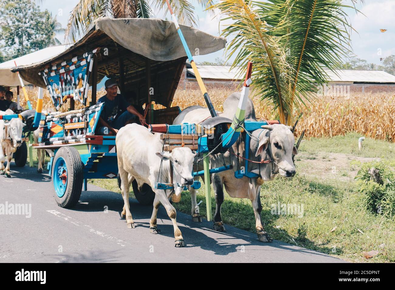 Two ox carriage hi-res stock photography and images - Alamy