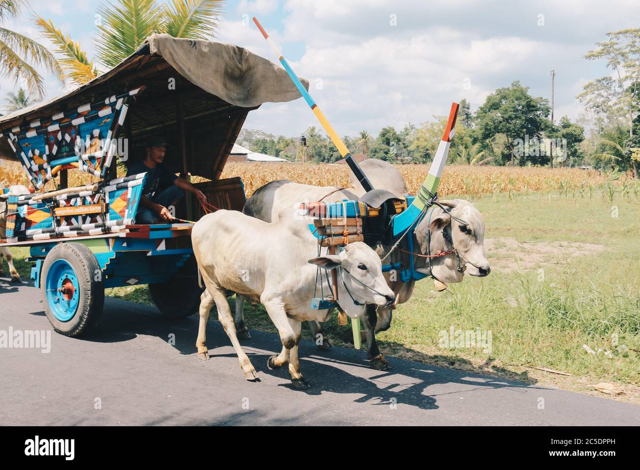 Yogyakarta, Indonesia - November, 2019: Cow cart or Gerobak Sapi with ...