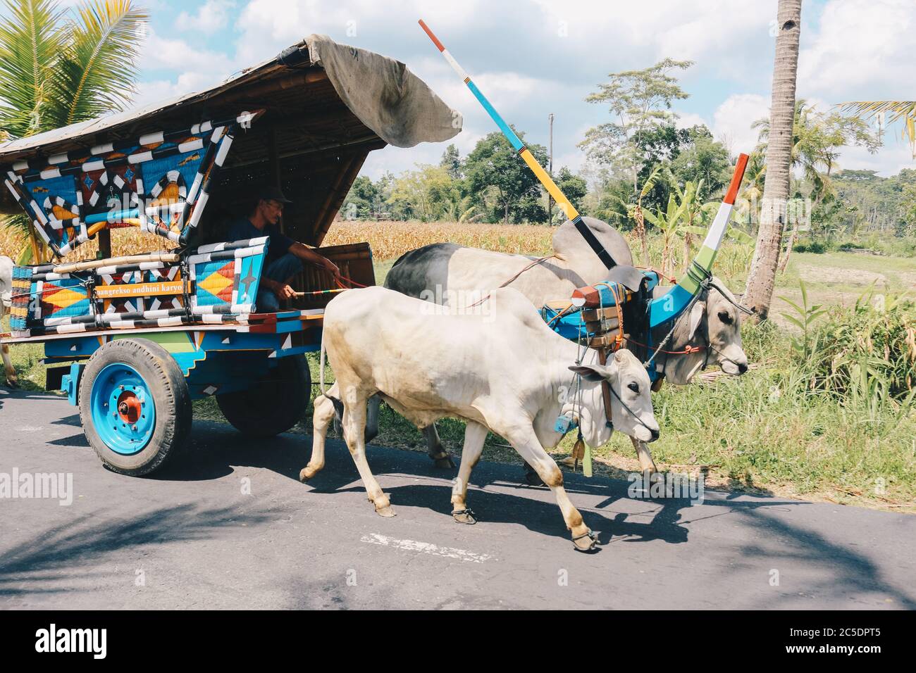 Yogyakarta, Indonesia - November, 2019: Cow cart or Gerobak Sapi with ...