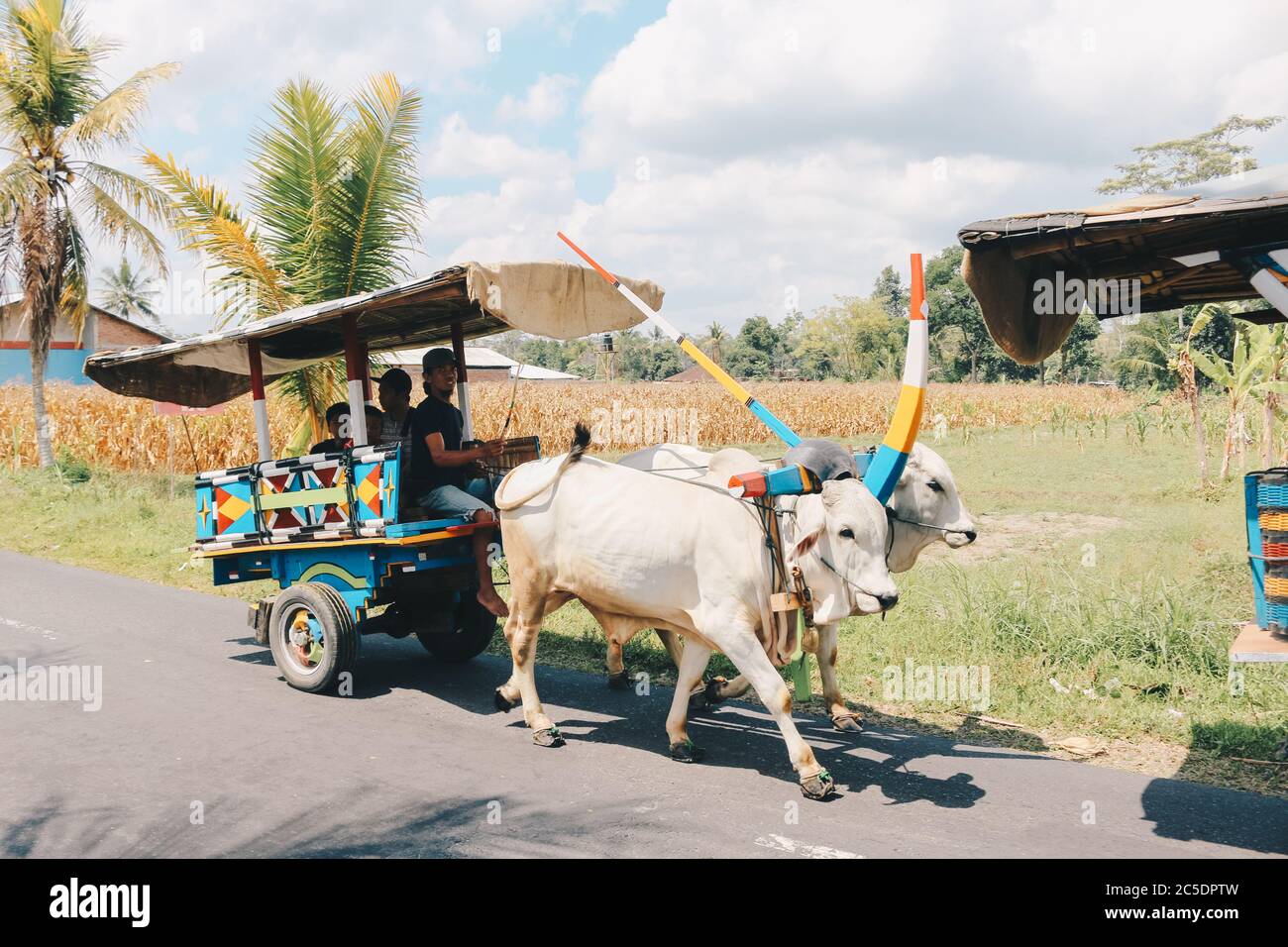 Yogyakarta, Indonesia - November, 2019: Cow cart or Gerobak Sapi with ...