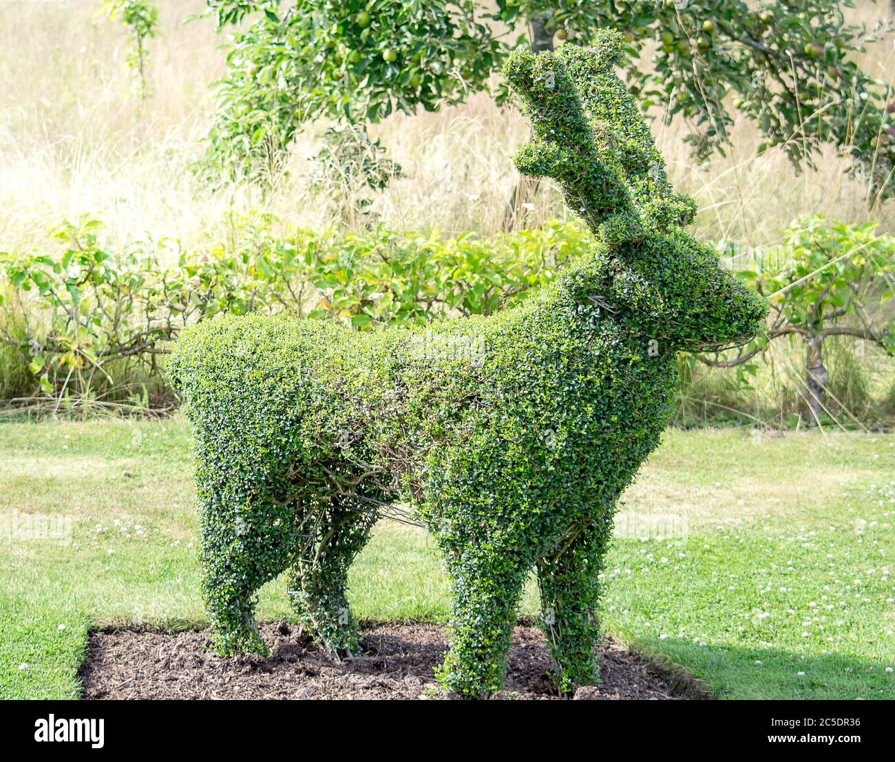 Green deer frame topiary in a spring garden Stock Photo - Alamy