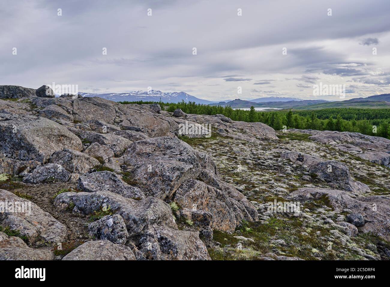 Basalt rock formations and trees by an old stone wall marking the ...