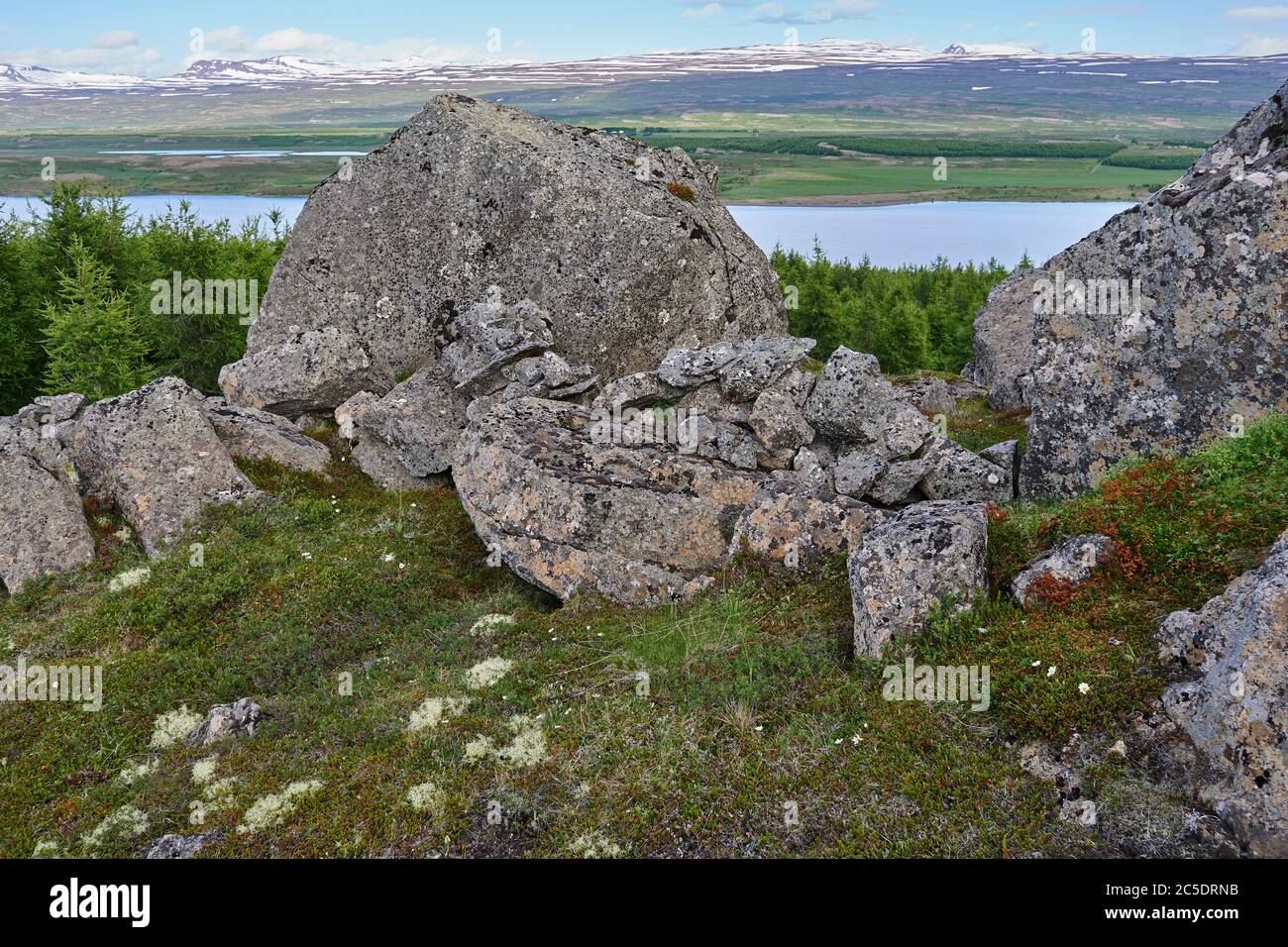 Basalt rock formations and trees by an old stone wall marking the ...