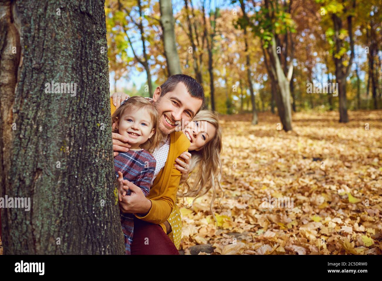 Autumn family tree hi-res stock photography and images - Alamy