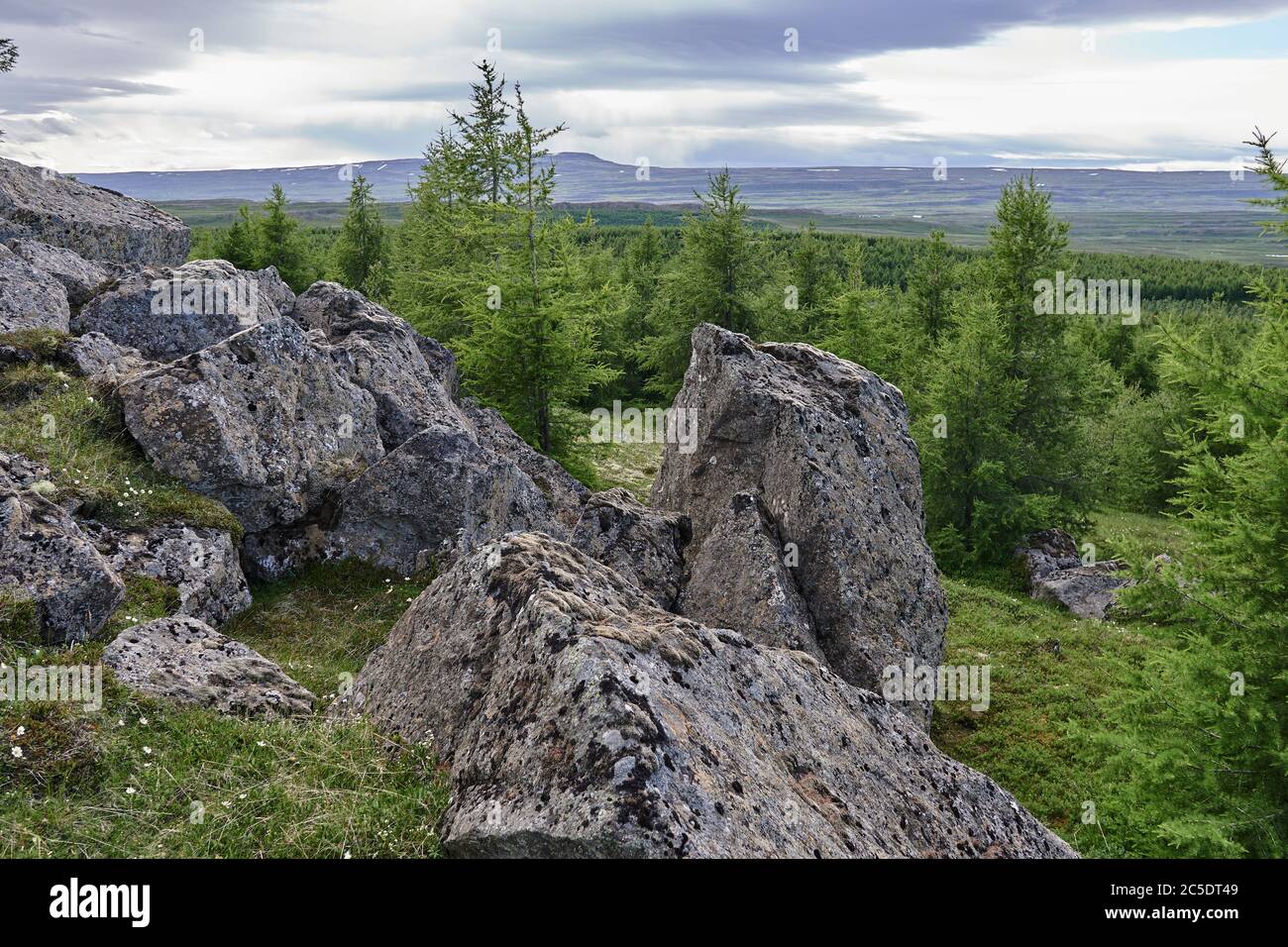 Basalt rock formations and trees by an old stone wall marking the ...