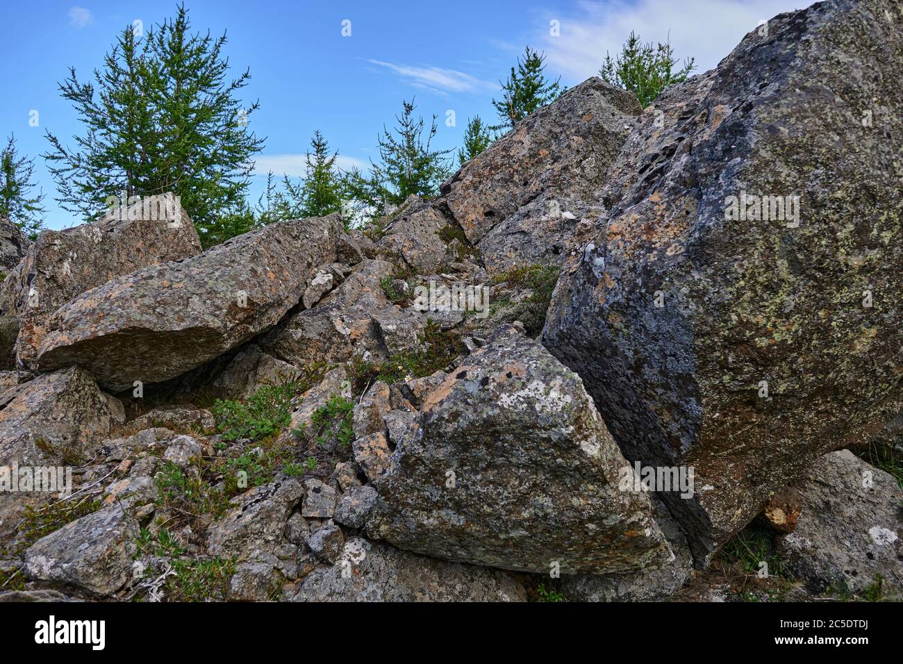 Basalt rock formations and trees by an old stone wall marking the ...