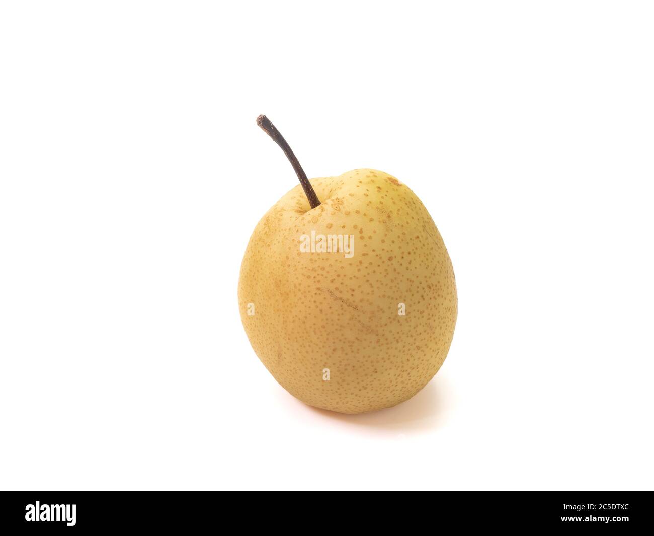 The close up of fresh sand pear fruit (Asian pear, Chinese pear ...