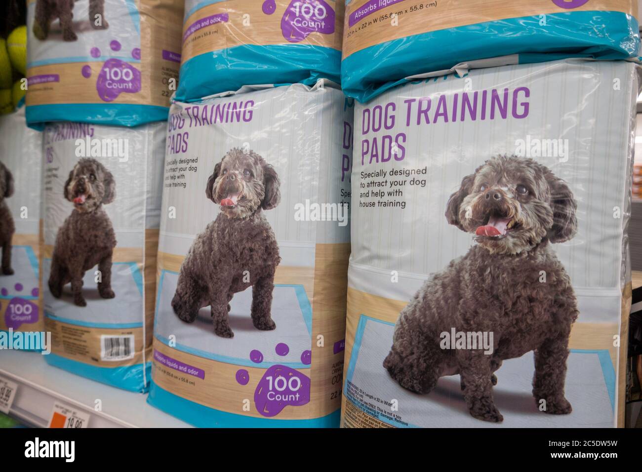 Pet store interior hi-res stock photography and images - Alamy