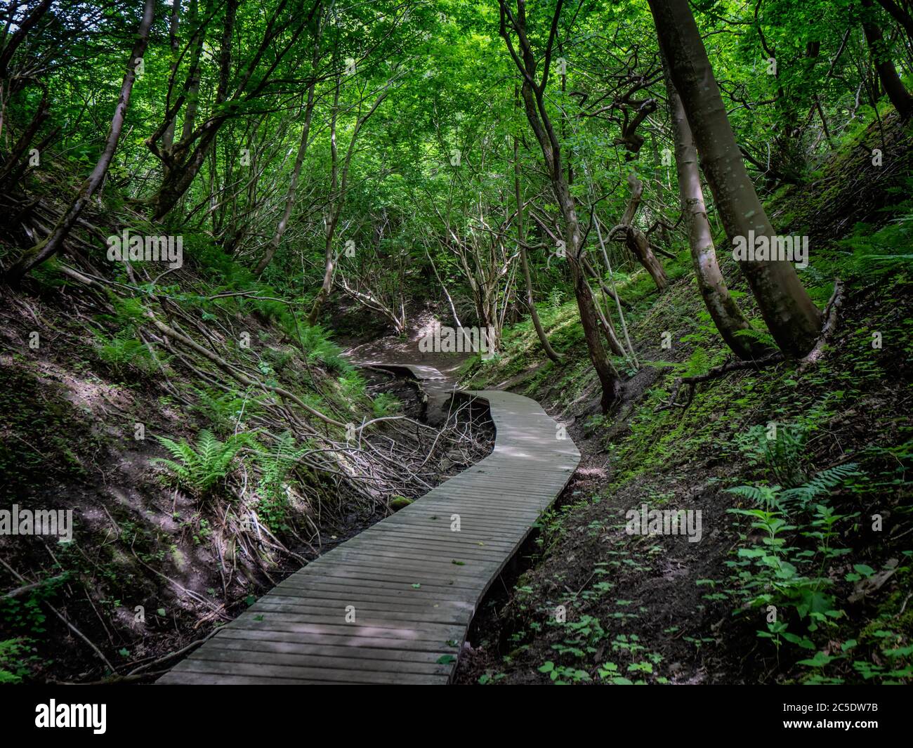 Ice age scenery hi-res stock photography and images - Alamy