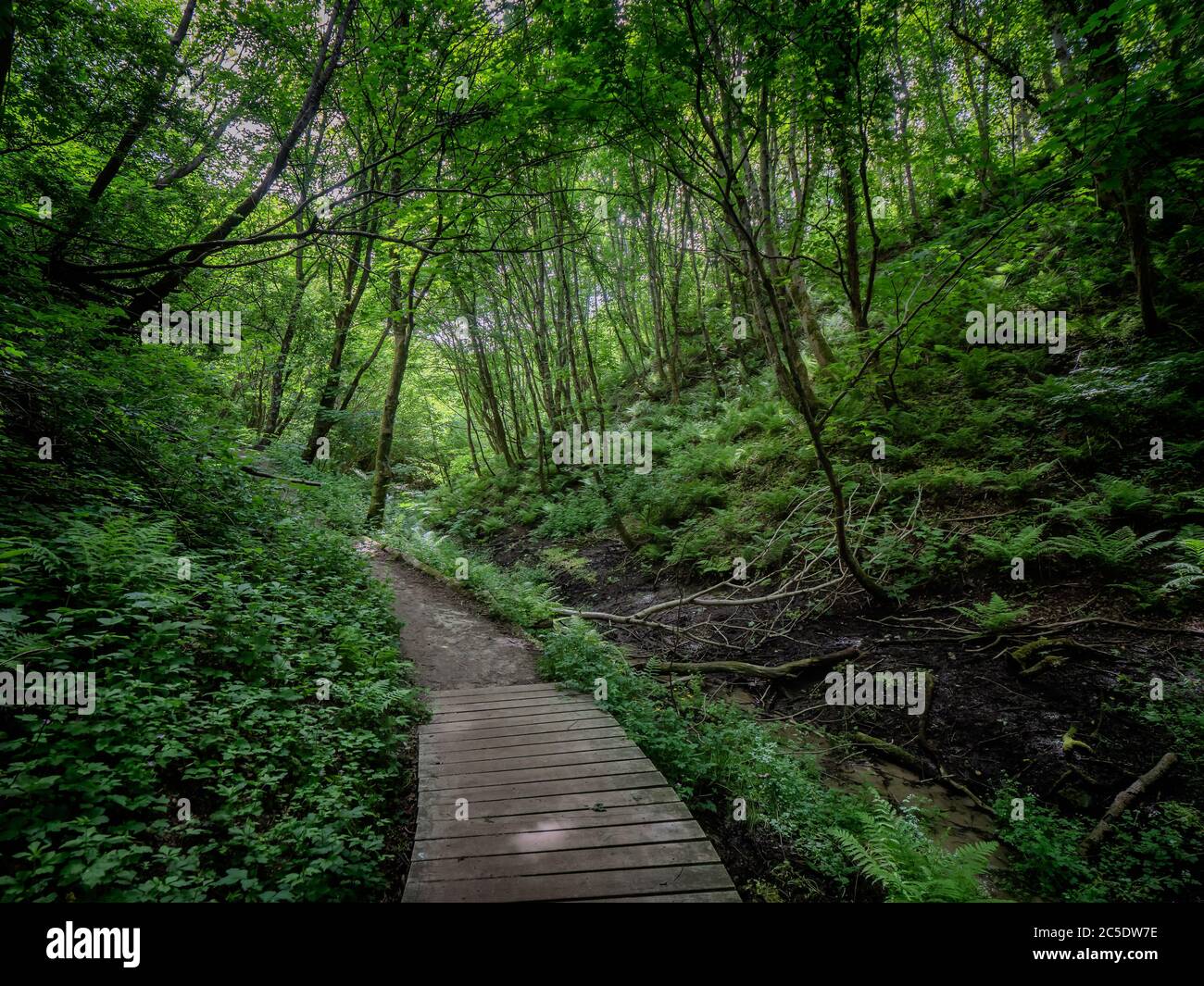 Ice age scenery hi-res stock photography and images - Alamy