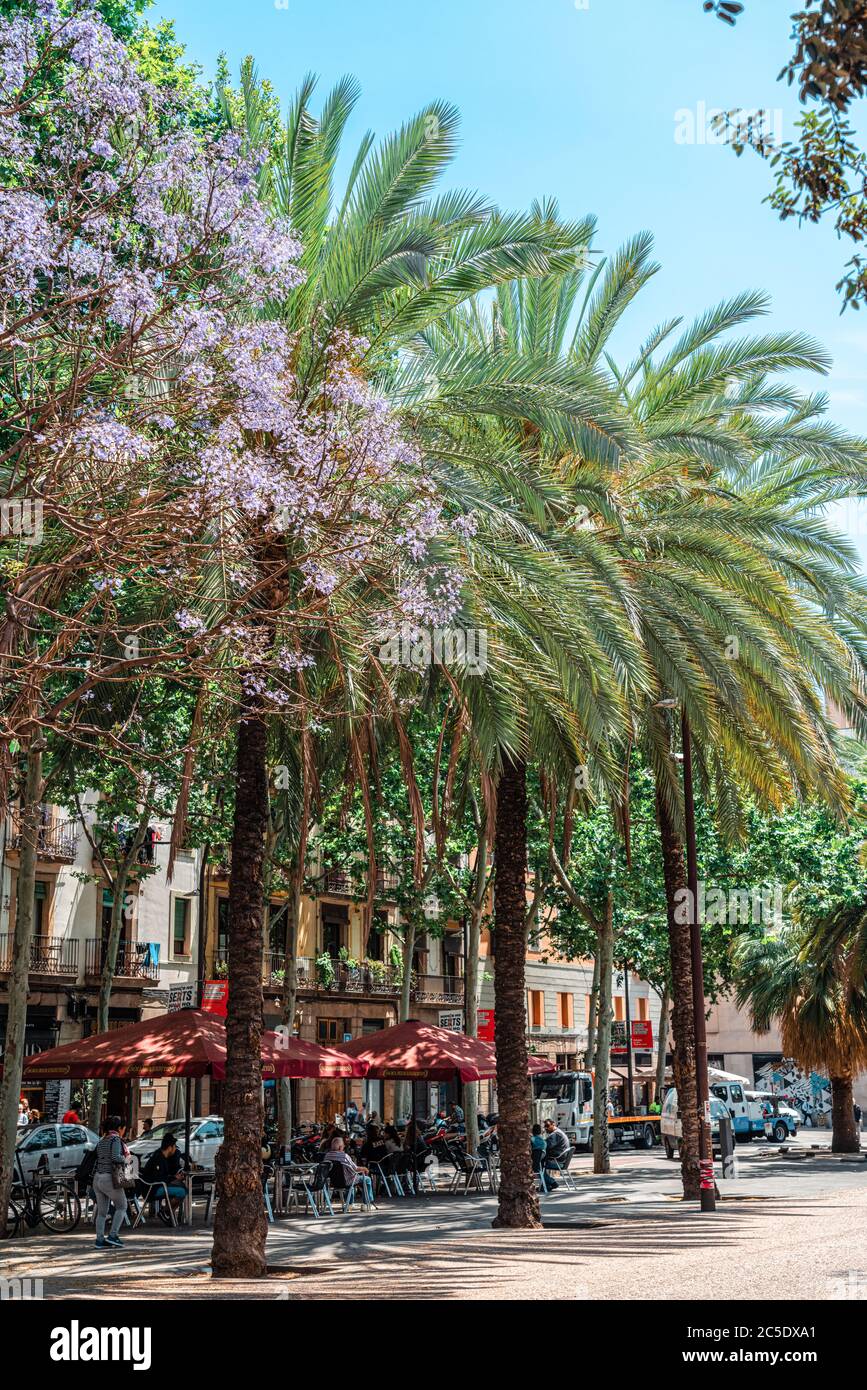 BARCELONA, SPAIN - JUNE 06, 2019: Exotic Architecture And Tropical ...