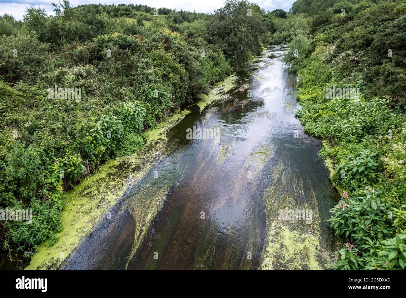 River Meden, Nottinghamshire, England, UK Stock Photo - Alamy