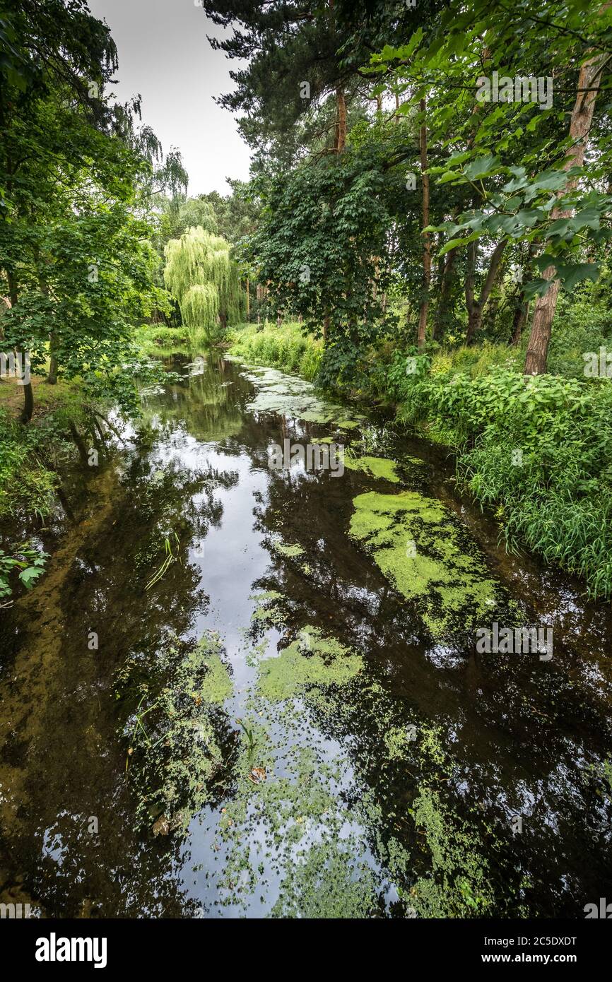Maun hi-res stock photography and images - Alamy