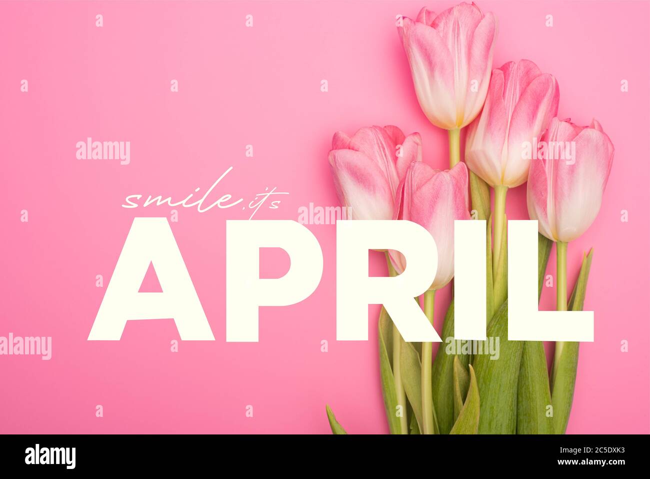 Top view of tulips on pink background, smile, it is april illustration ...