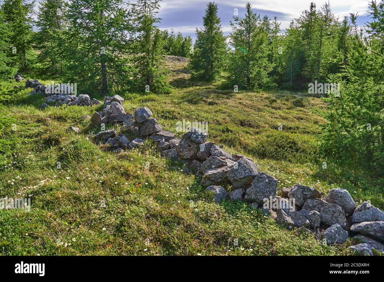 Basalt rock formations and trees by an old stone wall marking the ...