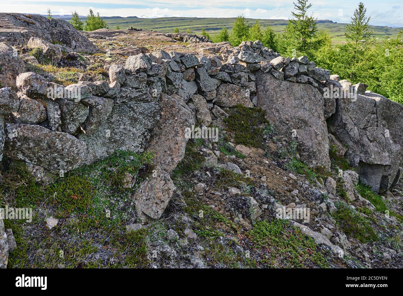 Basalt rock formations and trees by an old stone wall marking the ...
