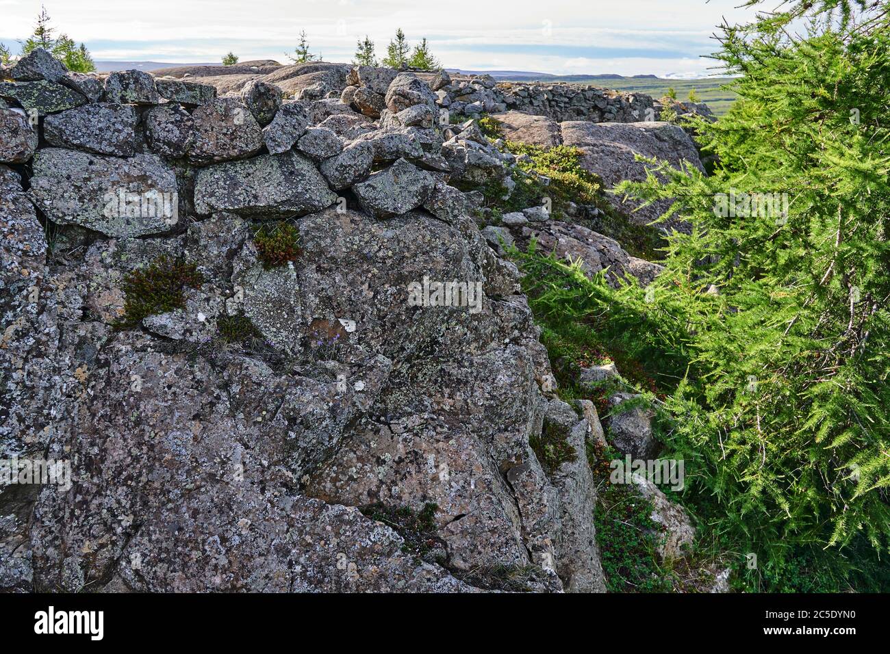 Basalt rock formations and trees by an old stone wall marking the ...